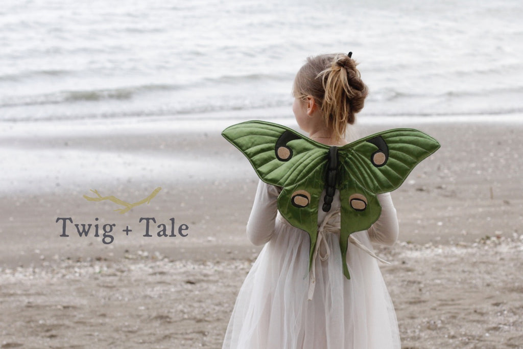 Introducing the Nature Wings Collection – Twig + Tale