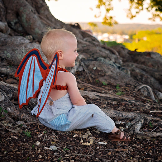 Dragon Wings Sewing Pattern – Twig + Tale